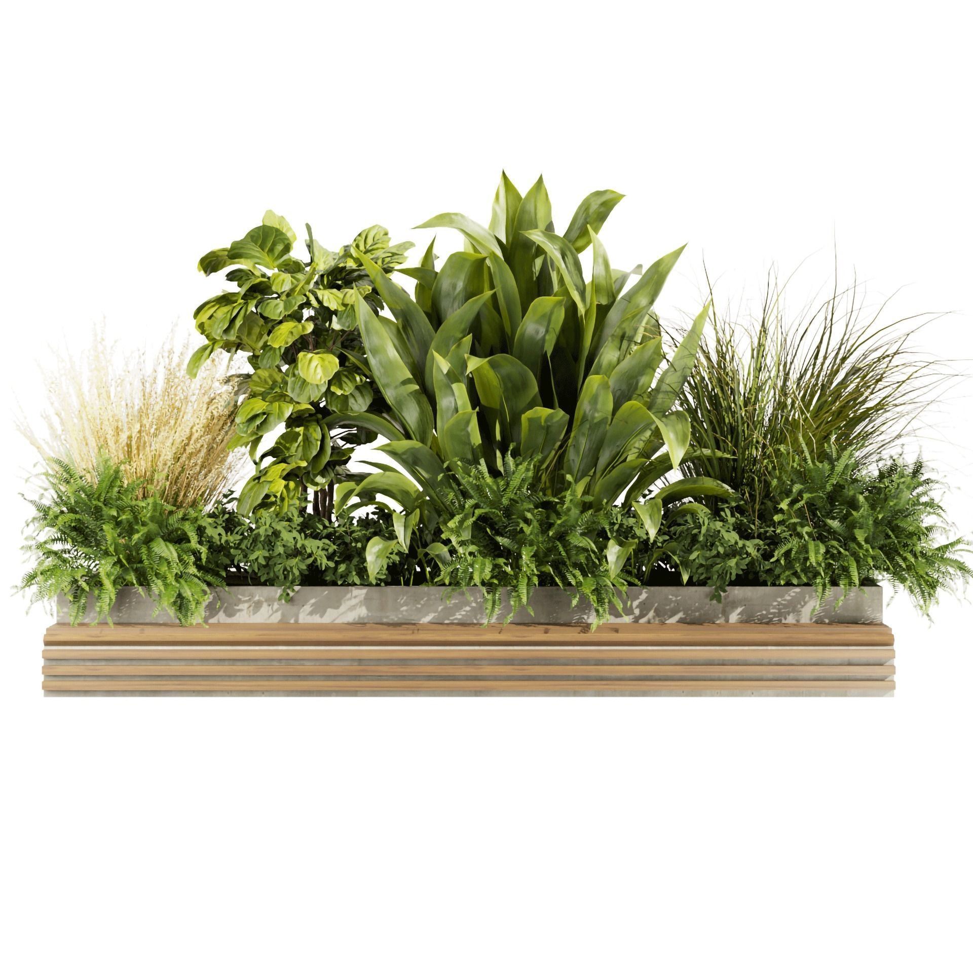 Collection plant vol 496 - garden - leaf - banana - wood 3D model | CGTrader