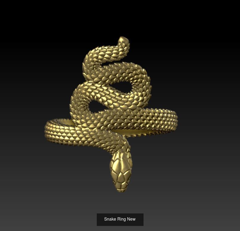 Snake Model Collection | CGTrader