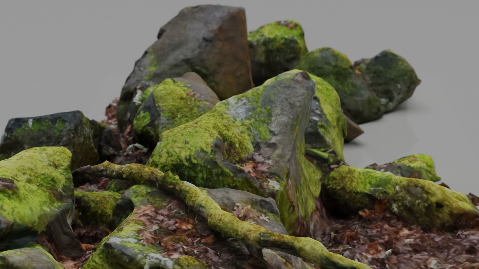 stones forest assets 3D model | CGTrader