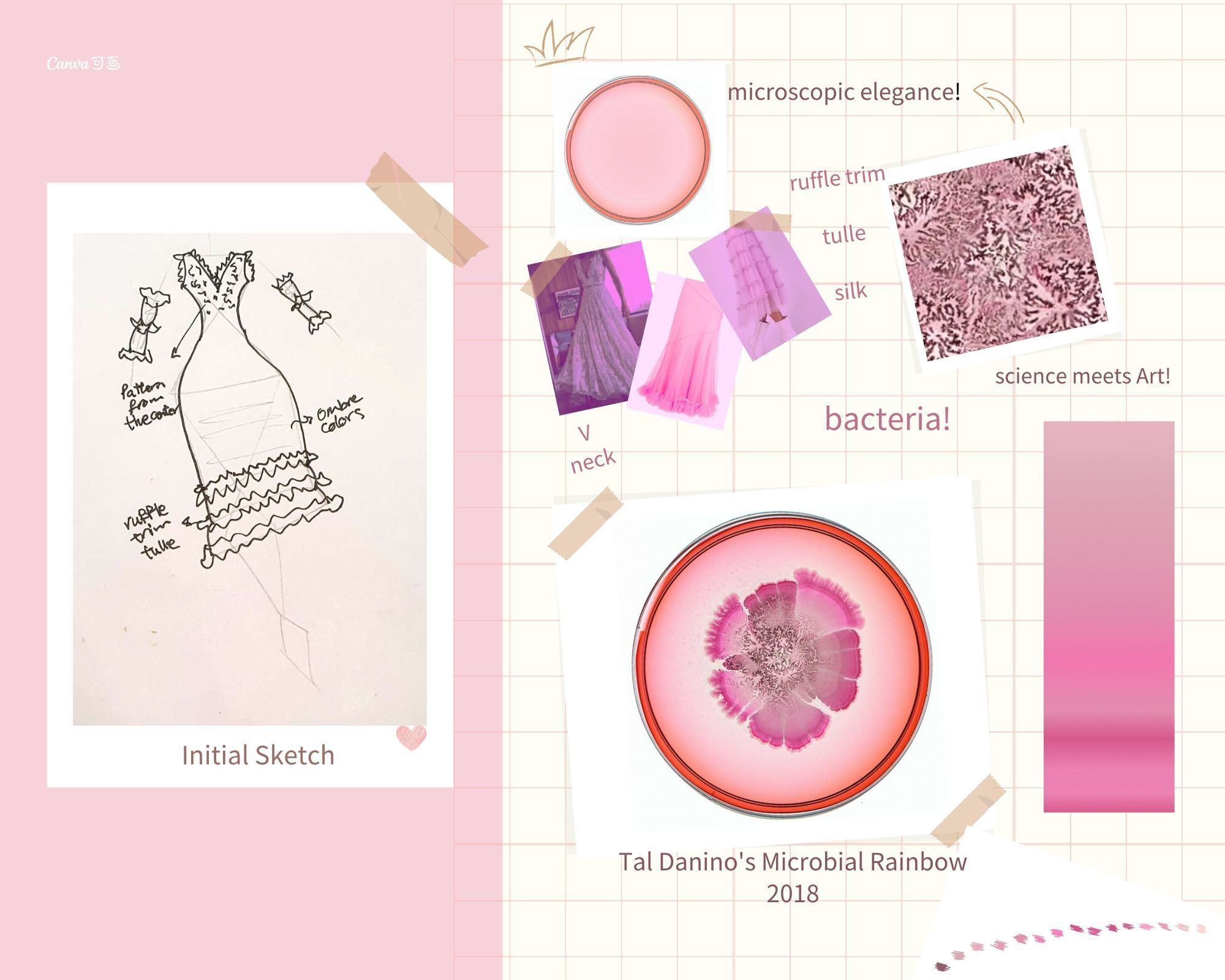 bacteria inspired Dress 3D model | CGTrader