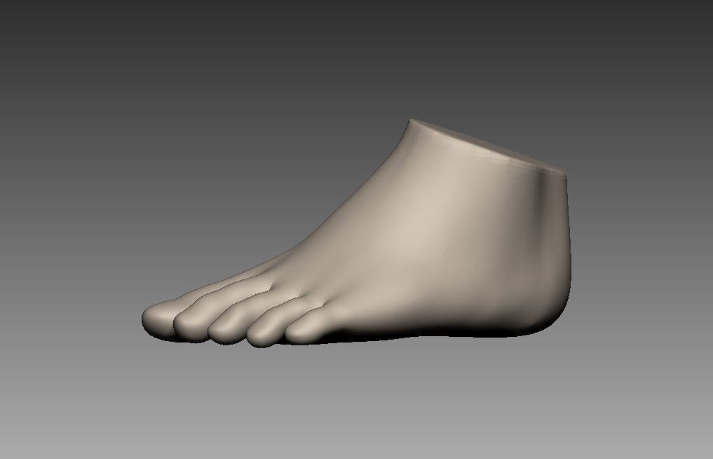 Foot feet 3D model 3D printable | CGTrader