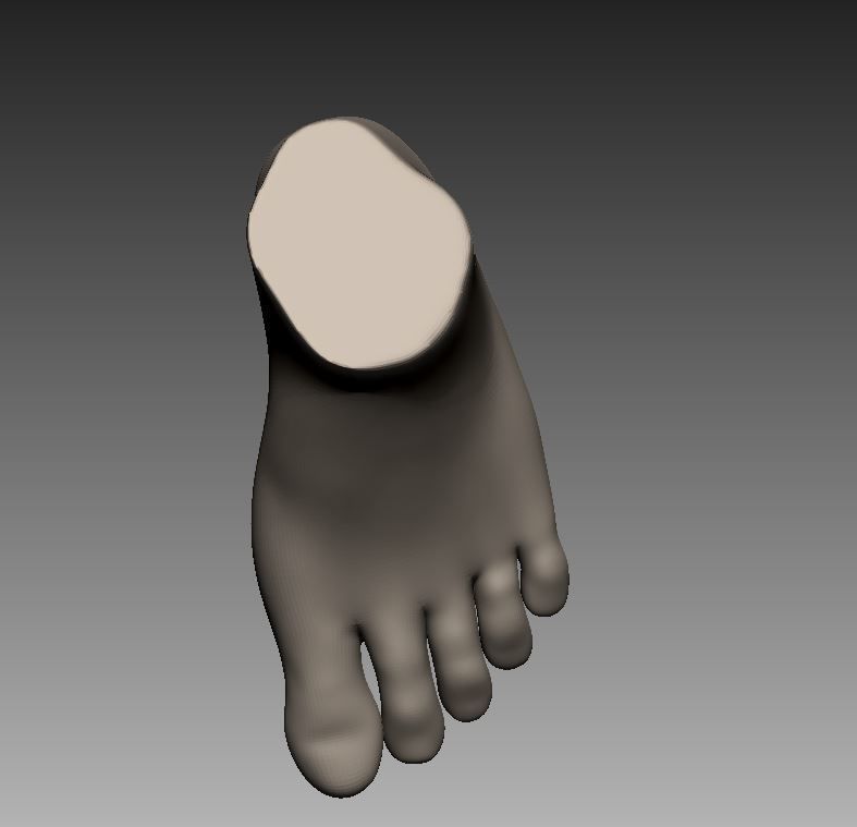 Foot feet 3D model 3D printable | CGTrader