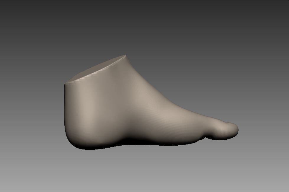 Foot feet 3D model 3D printable | CGTrader