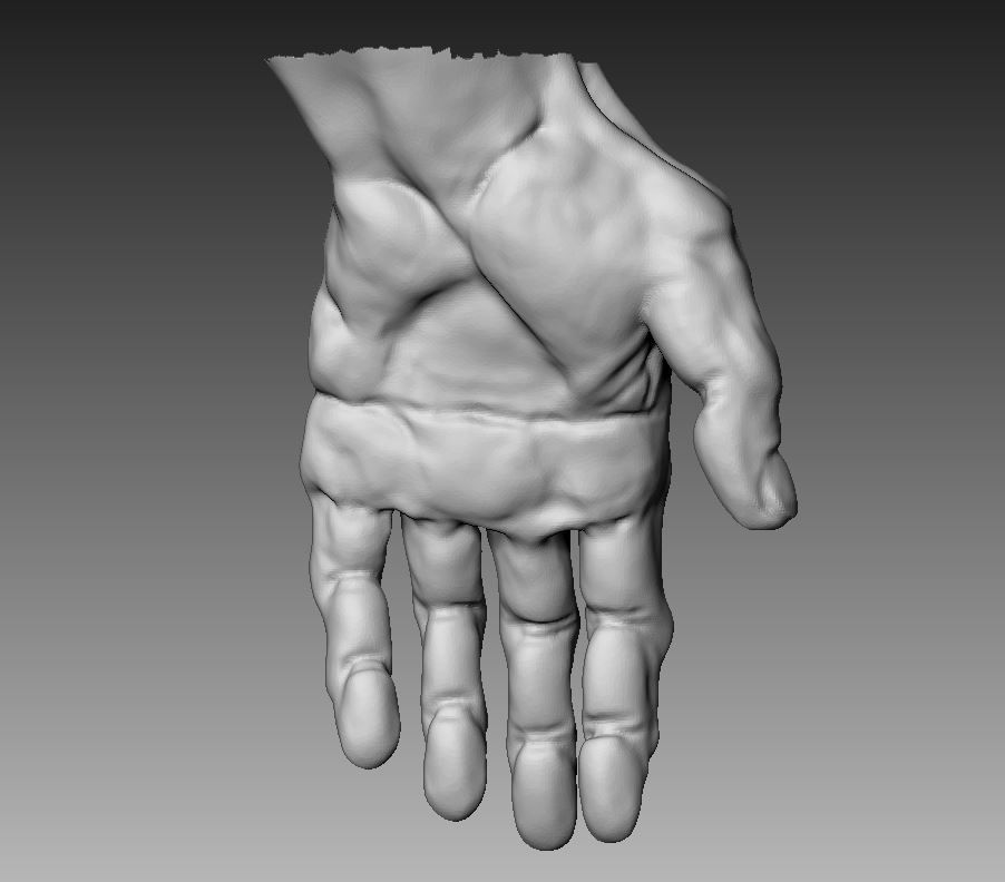Hand basemesh 3D model 3D printable | CGTrader