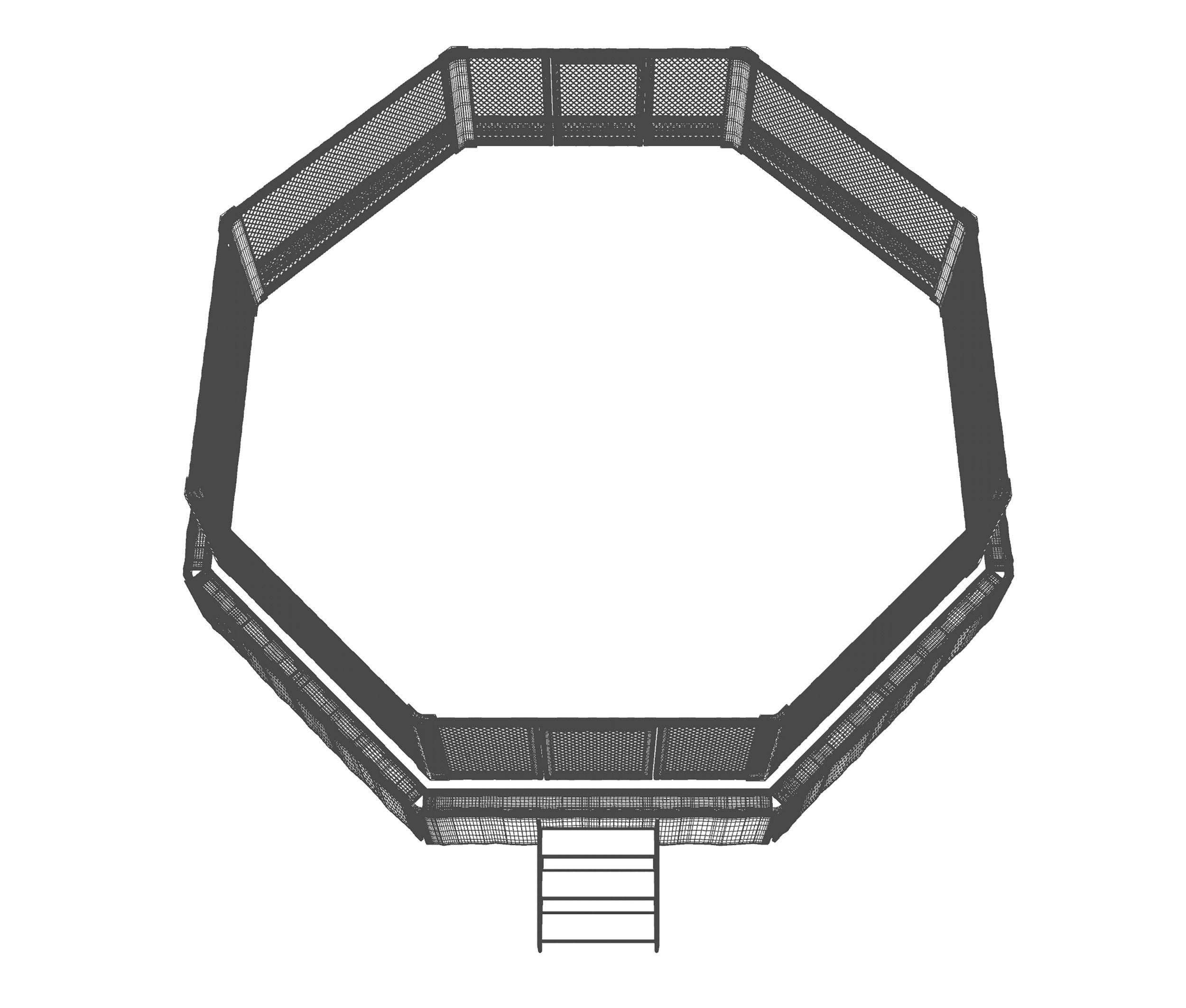 Mixed Martial Arts Octagon Arena 3D model | CGTrader