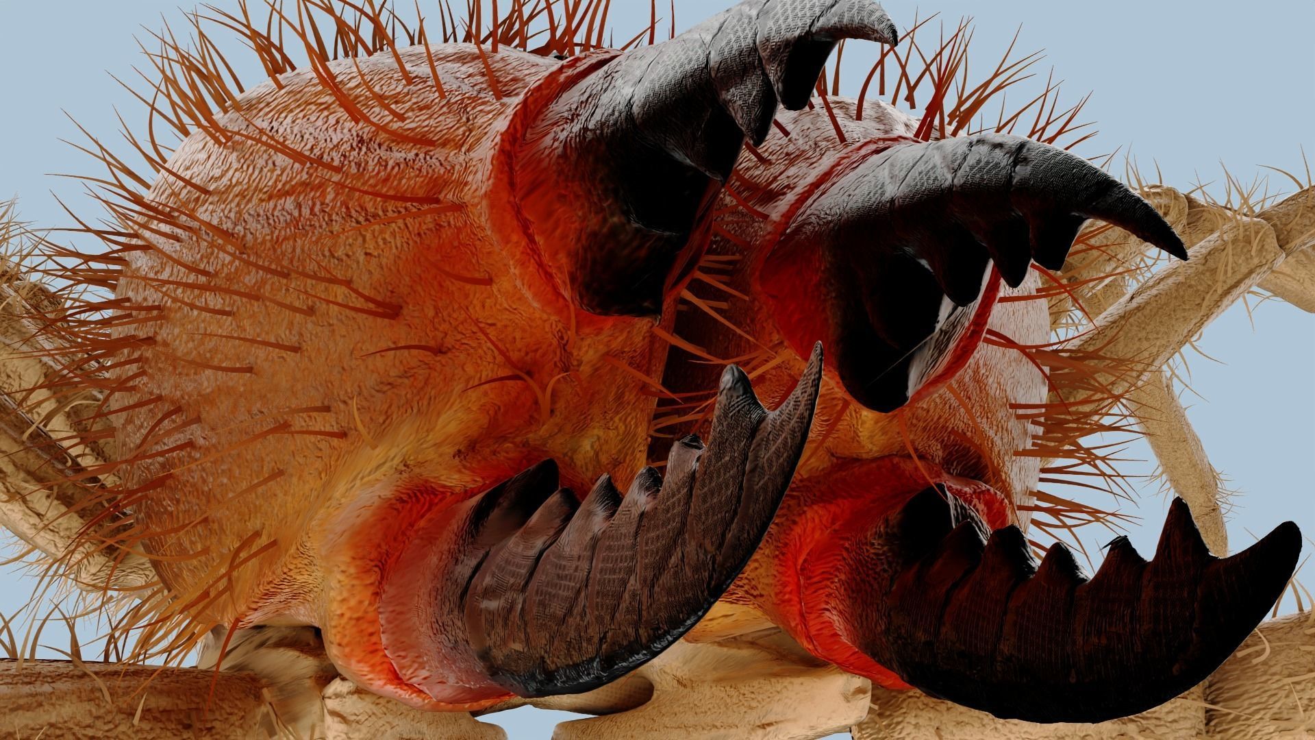 3D model Monstrous Solifugae VR / AR / low-poly | CGTrader