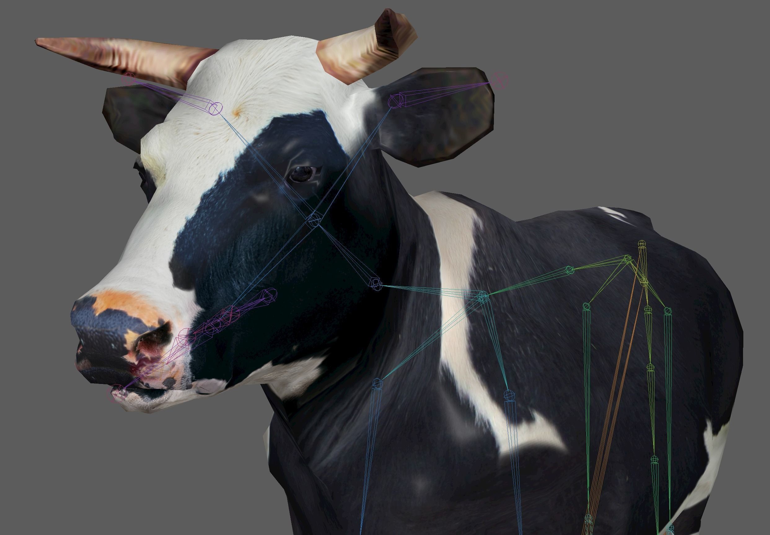 3D model Cow Rig VR / AR / low-poly | CGTrader