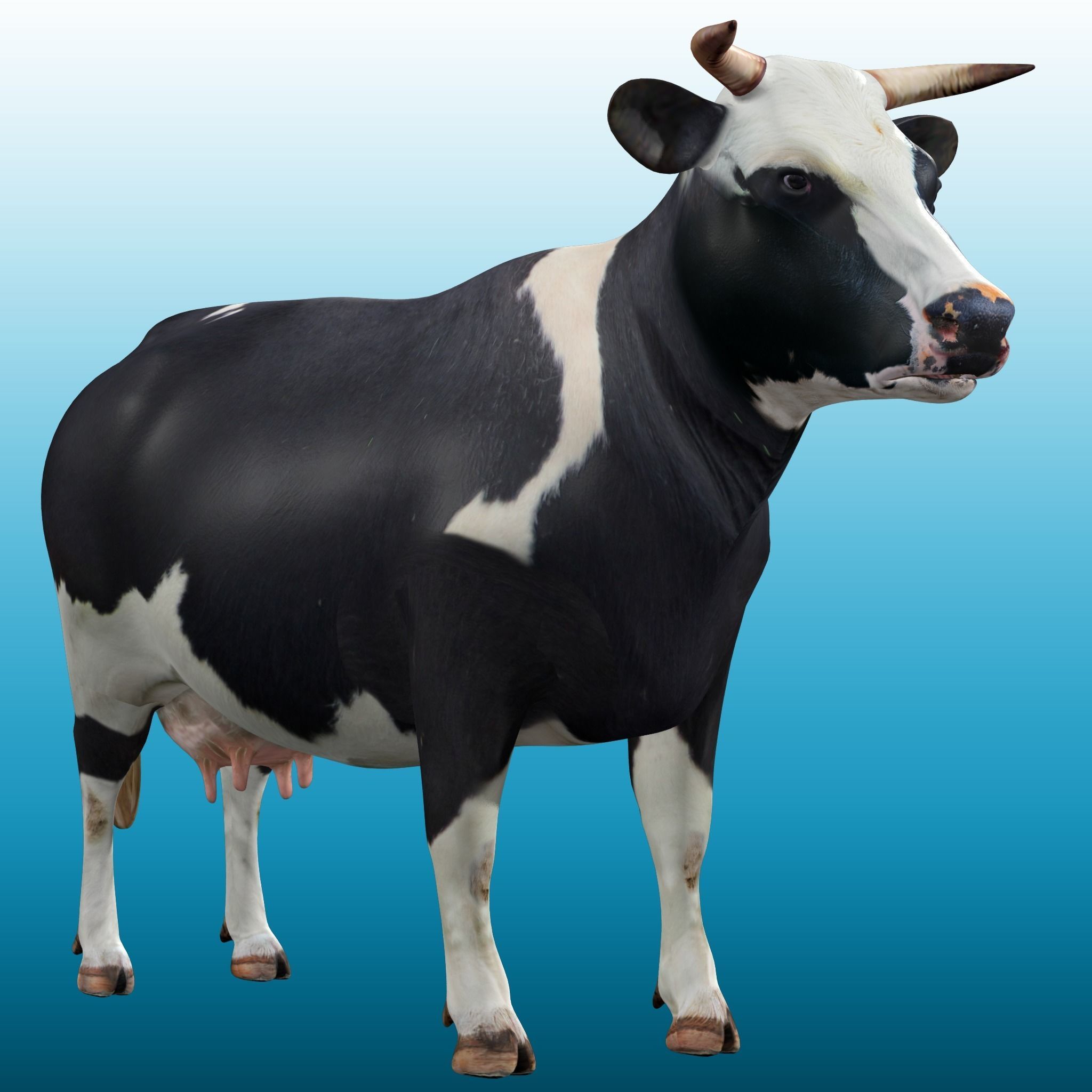 3D model Cow Rig VR / AR / low-poly | CGTrader