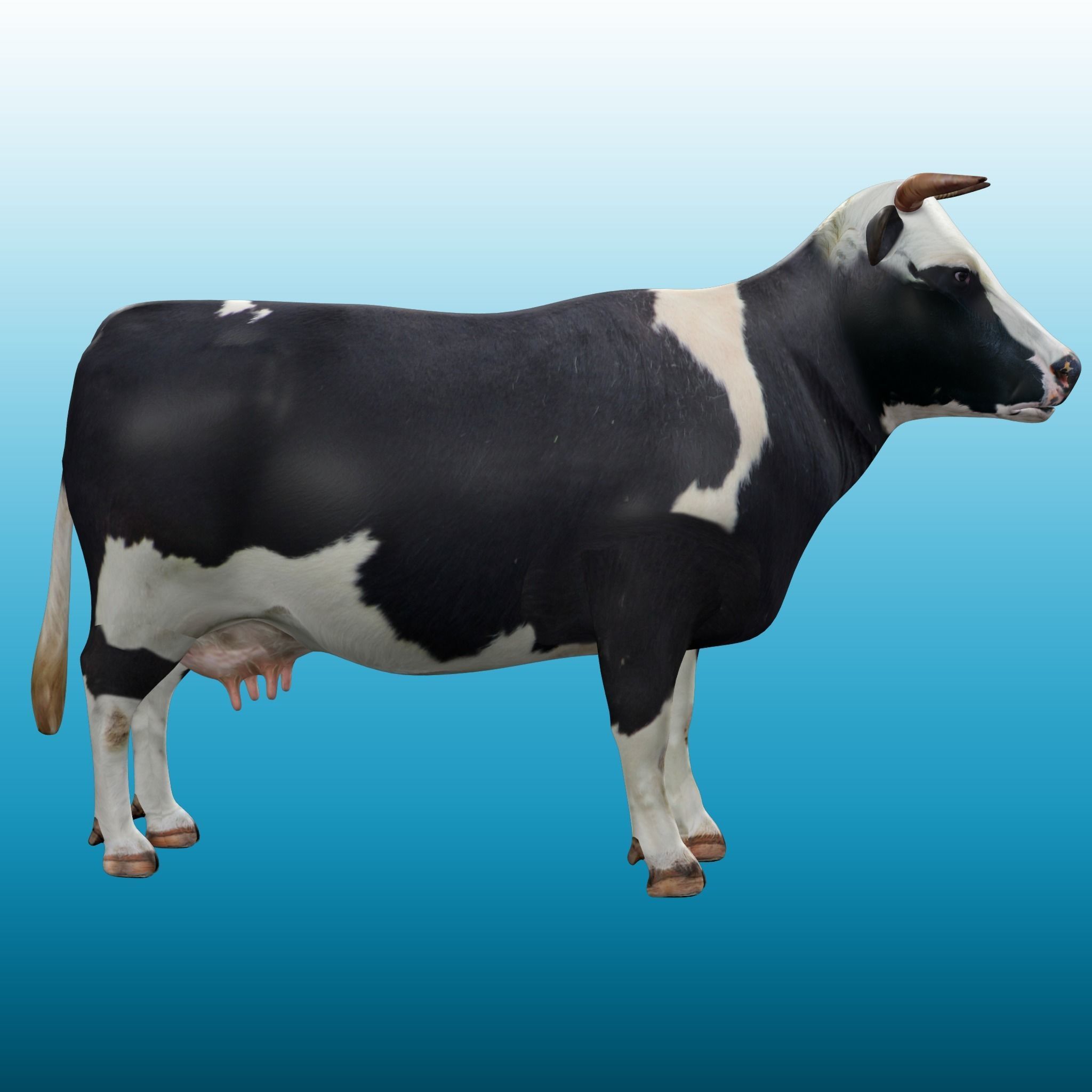 3D model Cow Rig VR / AR / low-poly | CGTrader