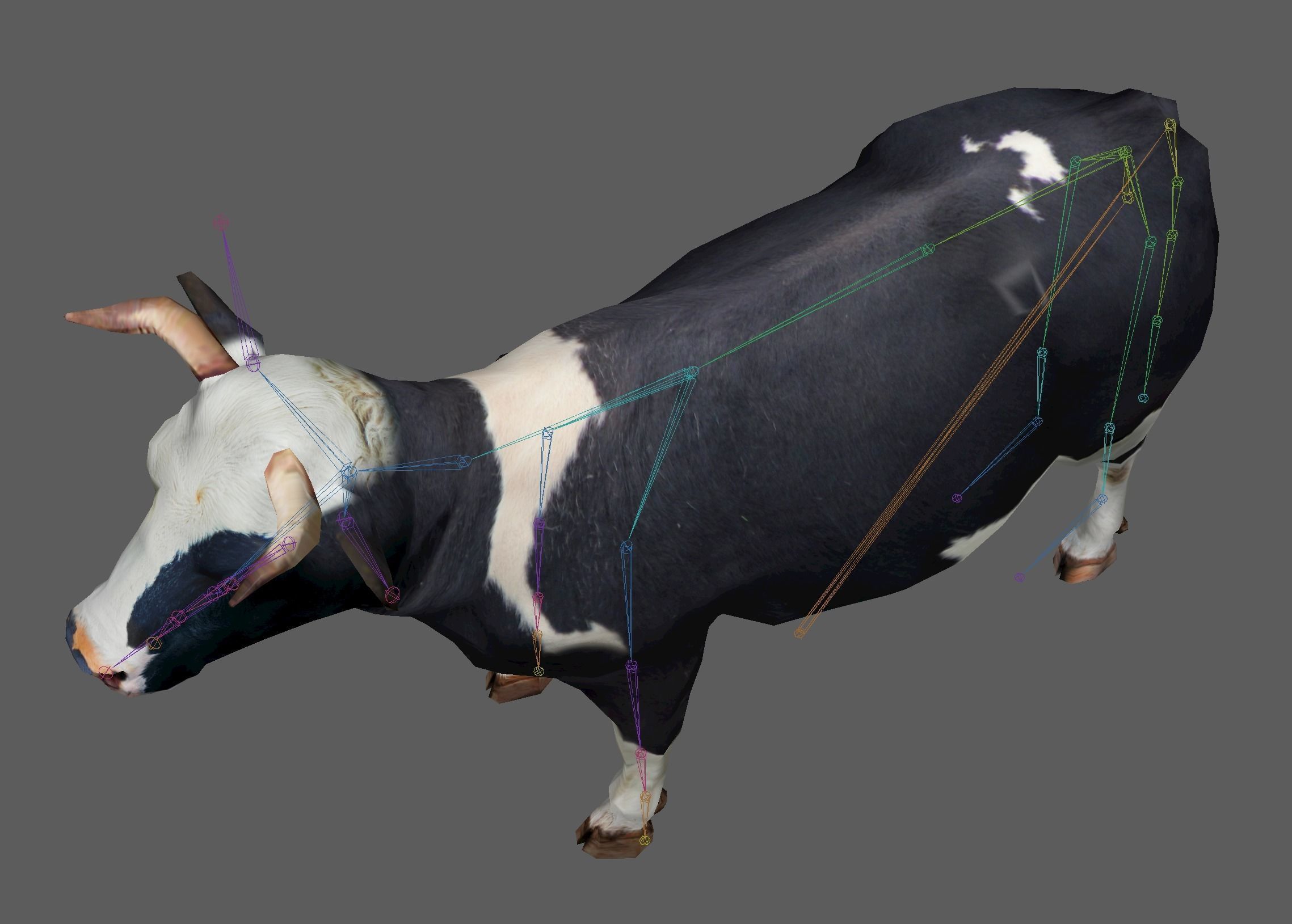 3D model Cow Rig VR / AR / low-poly | CGTrader