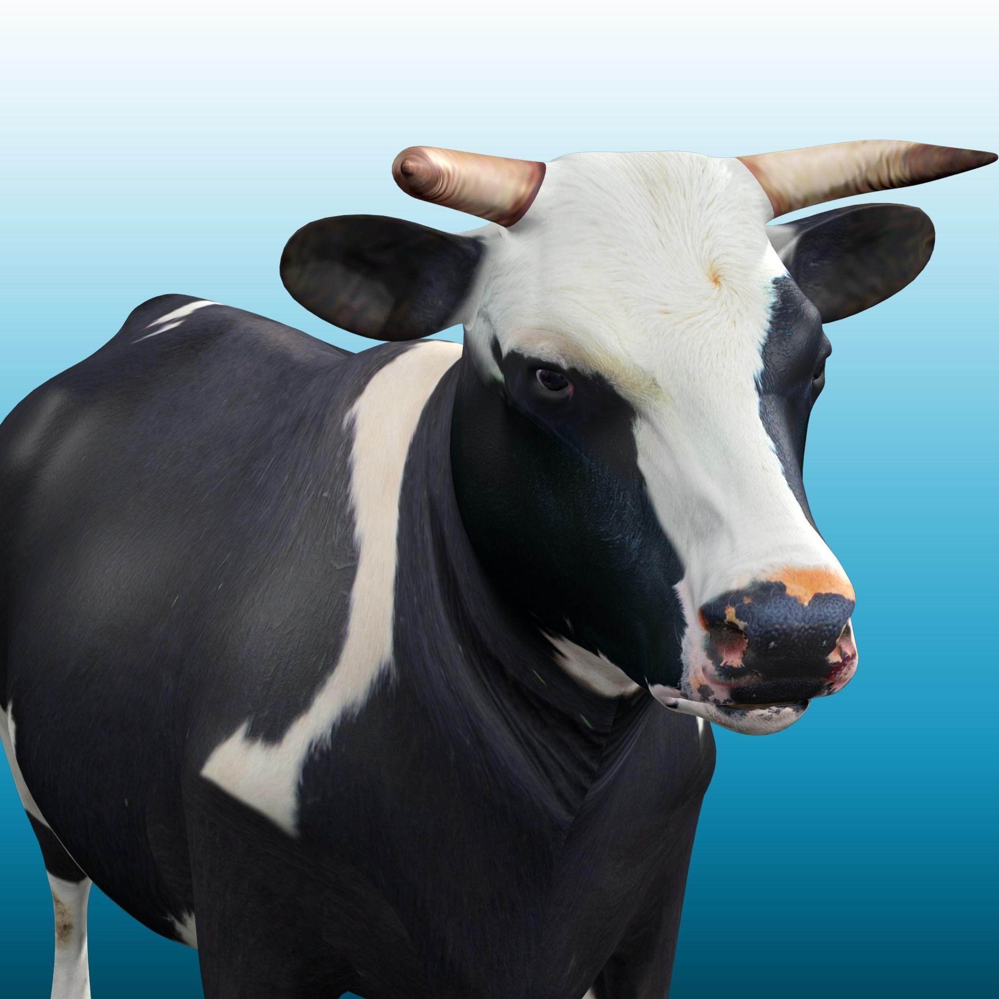 3D model Cow Rig VR / AR / low-poly | CGTrader