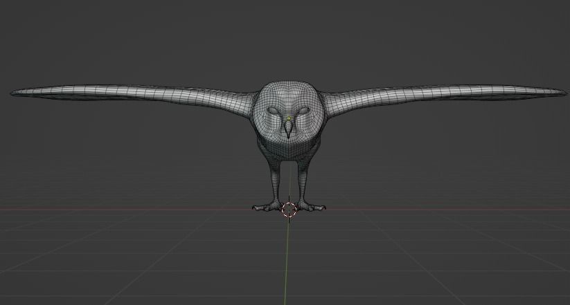 Barn Owl free 3D model rigged | CGTrader