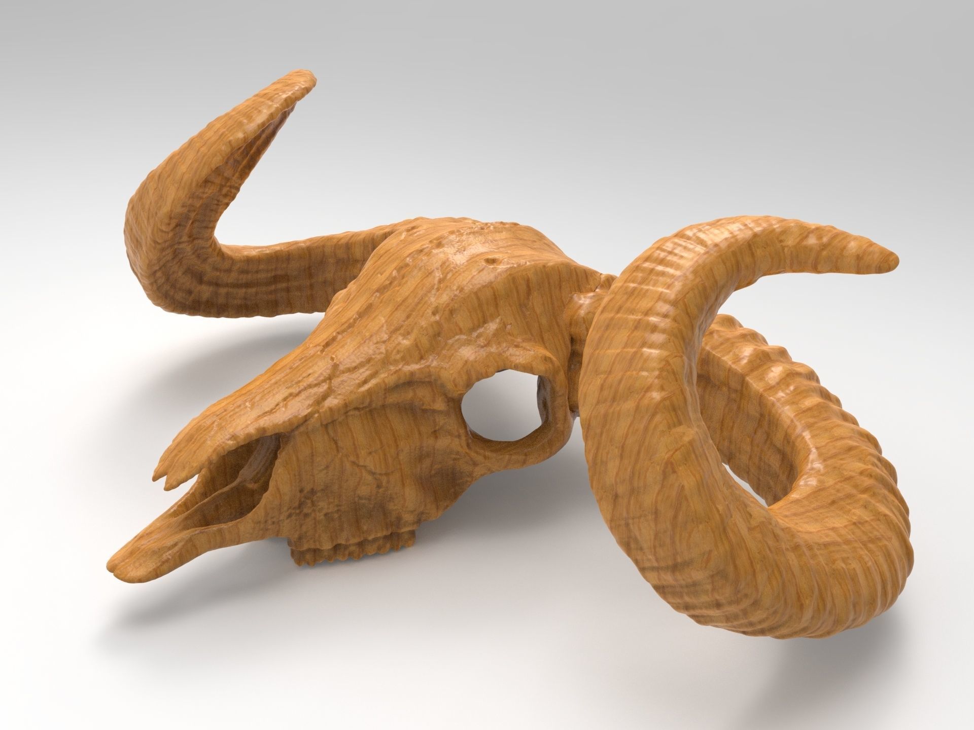 Ram skull 3D model 3D printable | CGTrader