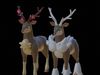 SAWSBUCK SPRING AND WINTER FORM - MEBUKIJIKA POKEMON 3D model 3D ...