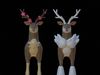 SAWSBUCK SPRING AND WINTER FORM - MEBUKIJIKA POKEMON 3D model 3D ...