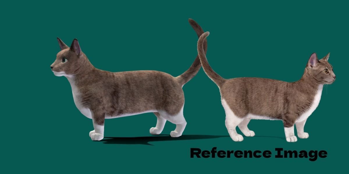 Munchkin Sausage Cat 3D model animated rigged | CGTrader