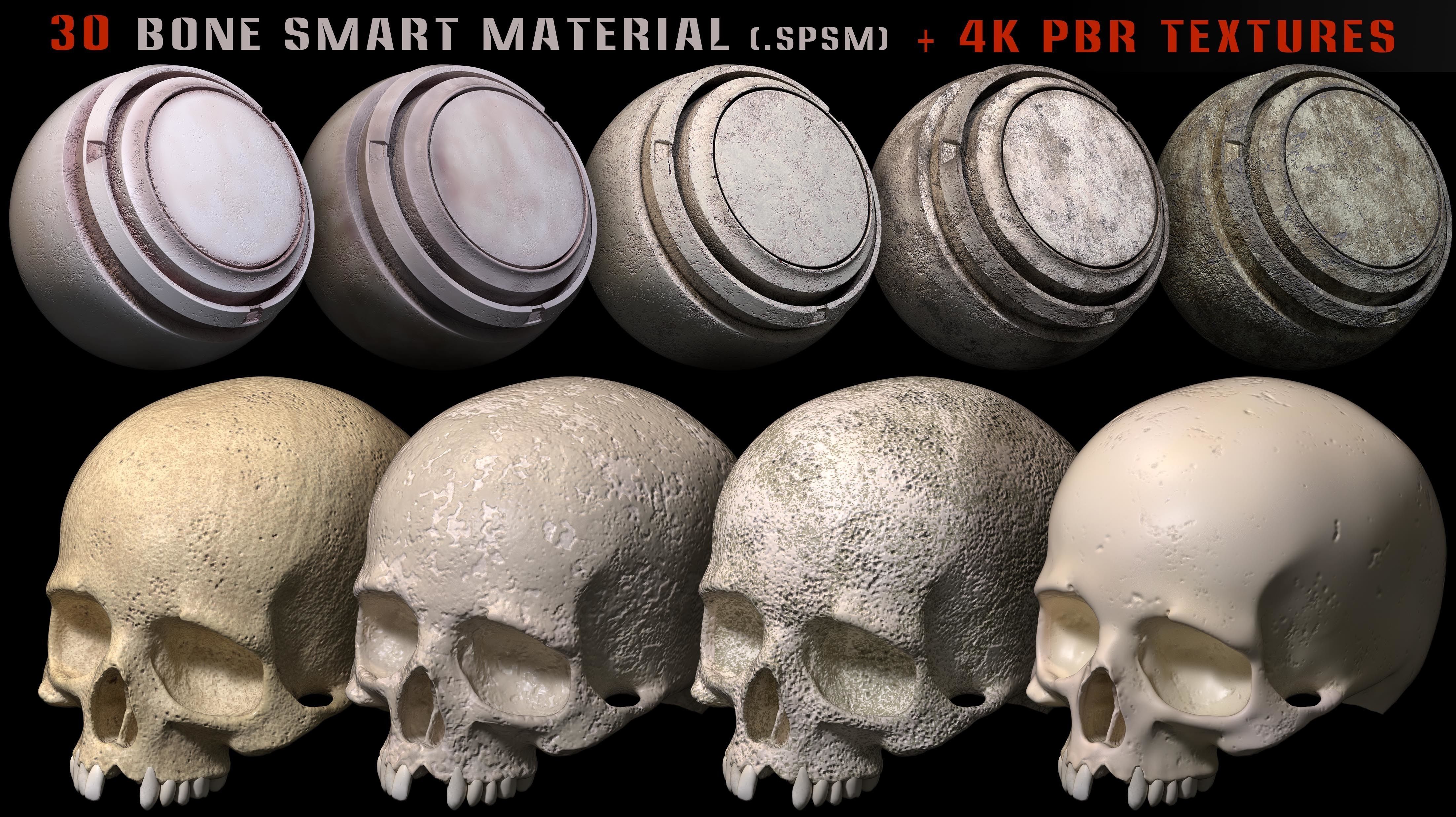 30 Bone Smart Material and 4k Pbr Textures - Vol 8 Texture | CGTrader
