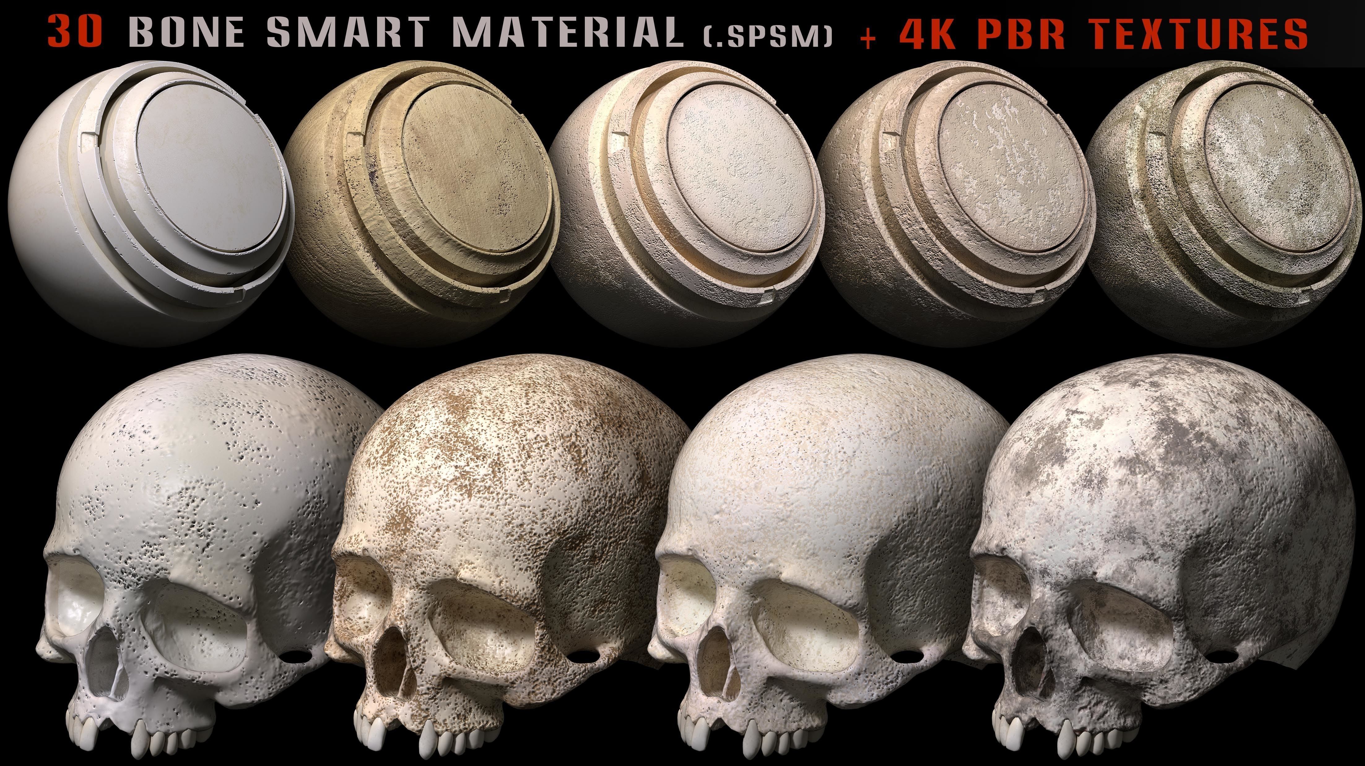 30 Bone Smart Material and 4k Pbr Textures - Vol 8 Texture | CGTrader