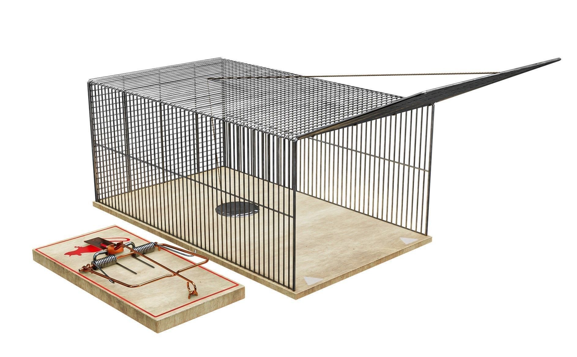 3D model Rat Trap Pack VR / AR / low-poly | CGTrader