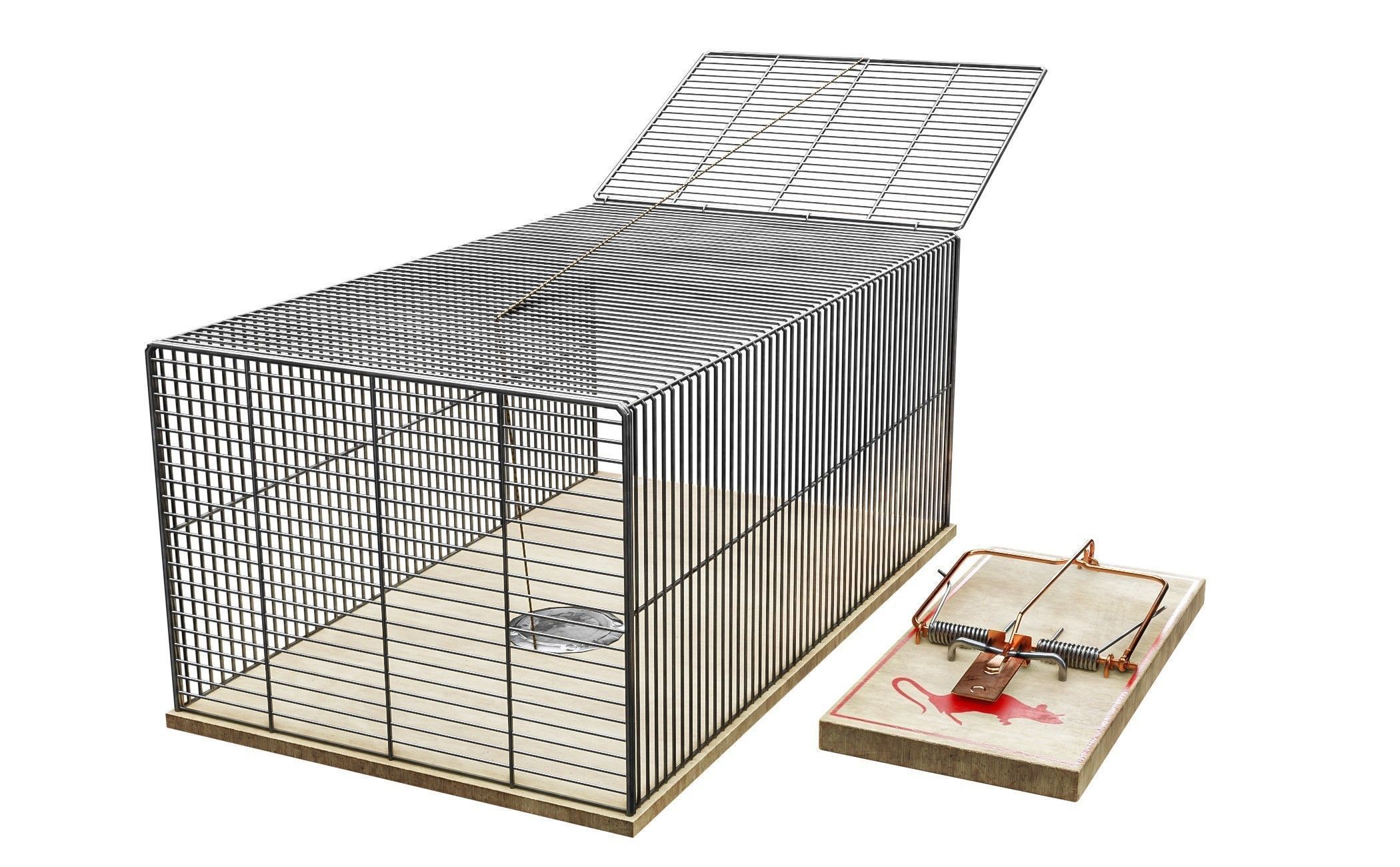 3D model Rat Trap Pack VR / AR / low-poly | CGTrader