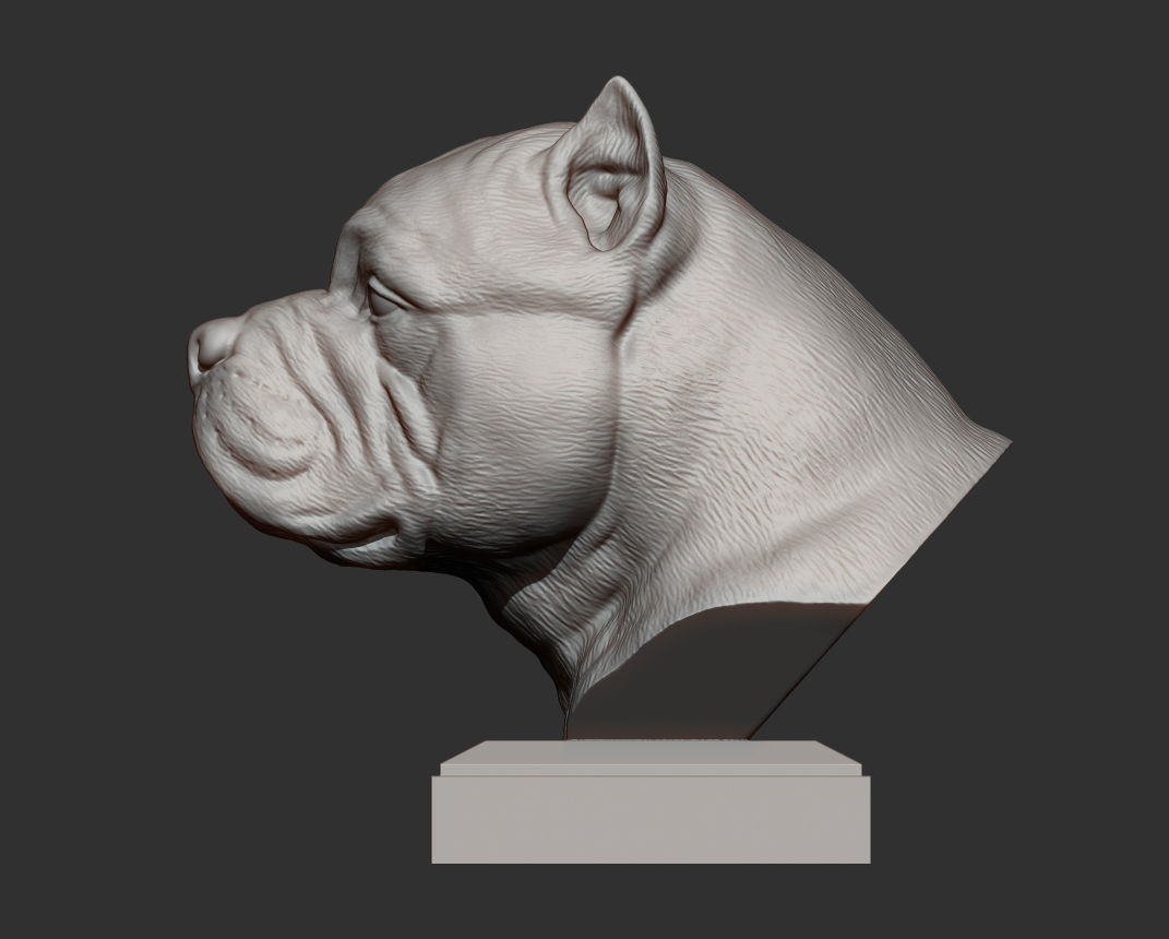 American Bully bust 3D model 3D printable | CGTrader
