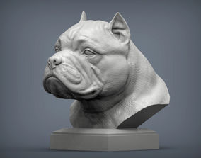 Bully 3D Print Models | CGTrader