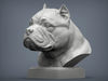 American Bully bust 3D model 3D printable | CGTrader
