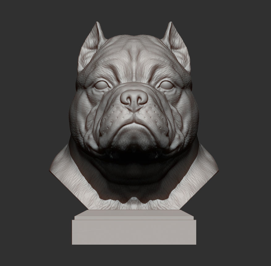 American Bully bust 3D model 3D printable | CGTrader