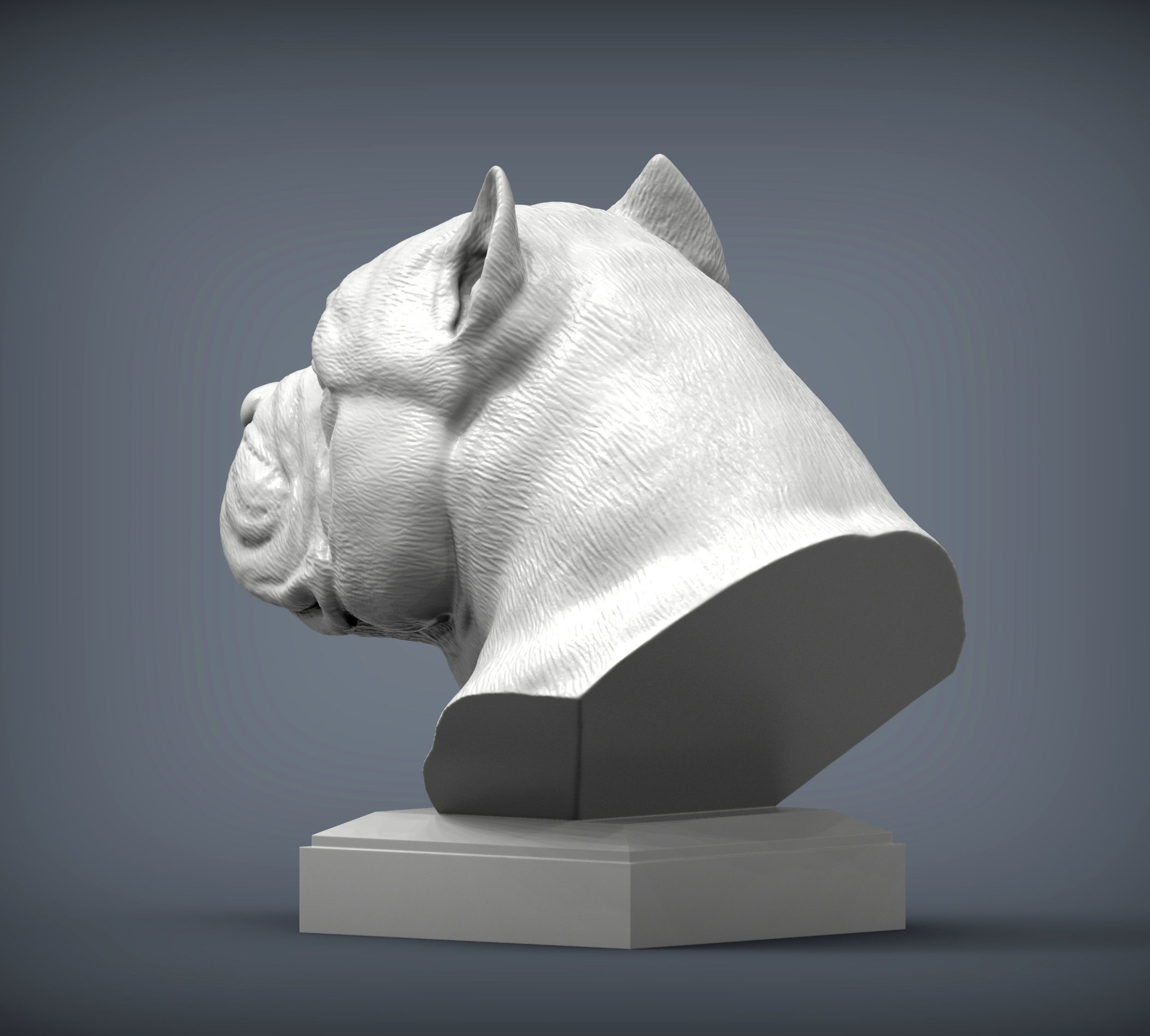 American Bully bust 3D model 3D printable | CGTrader