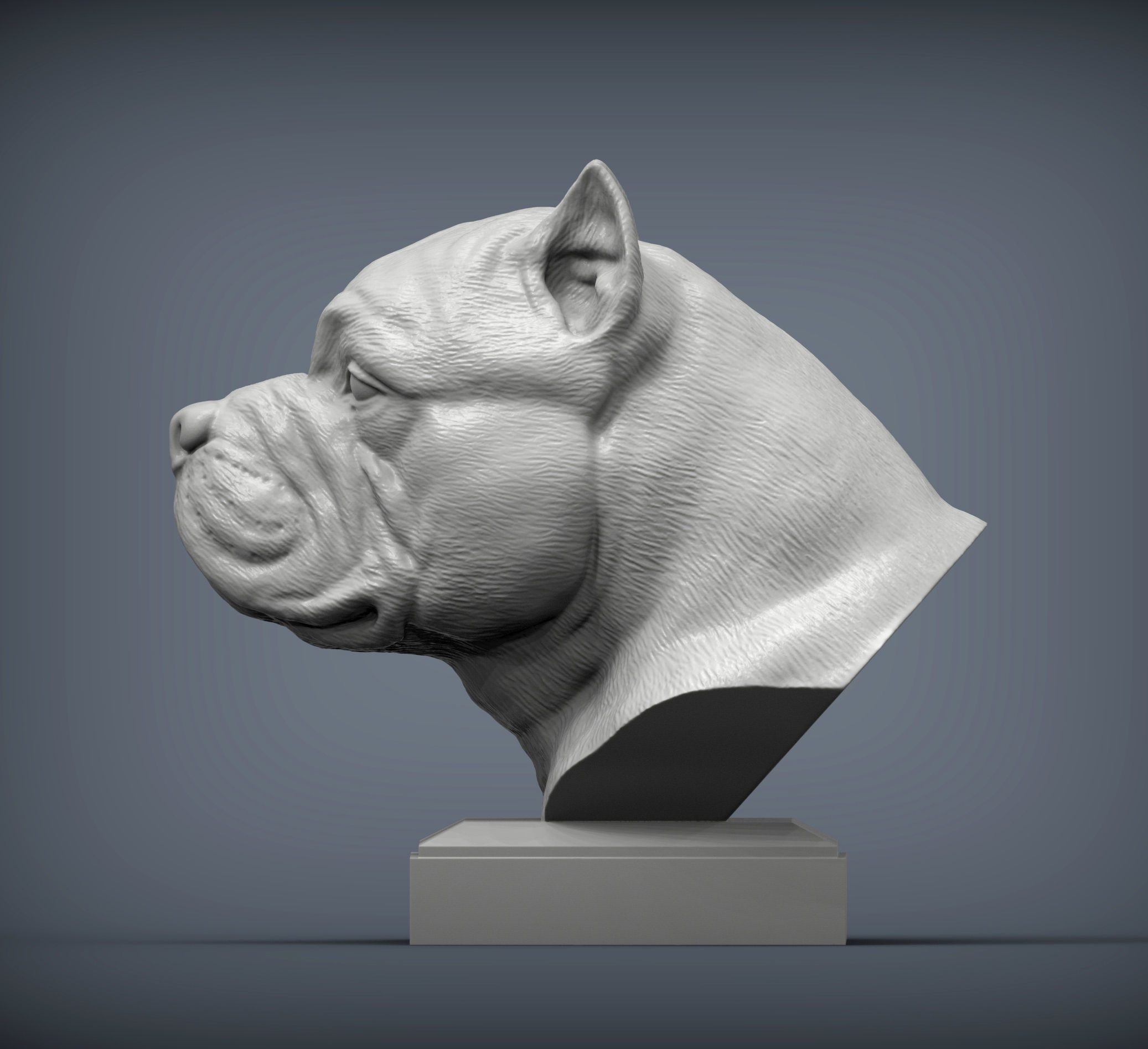 American Bully bust 3D model 3D printable | CGTrader
