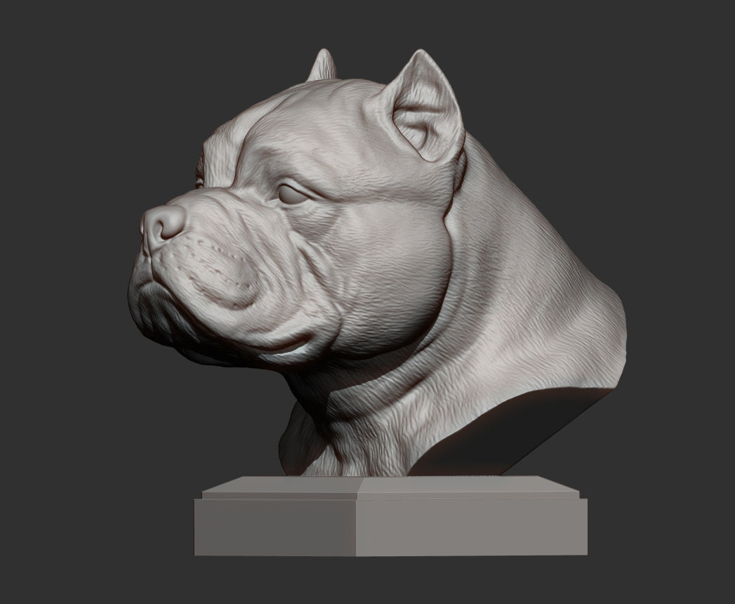 American Bully bust 3D model 3D printable | CGTrader