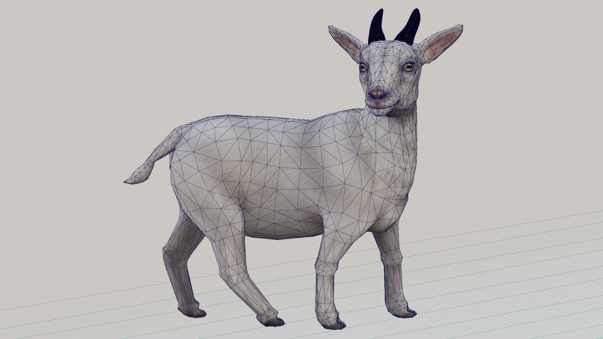 AnimalS Collection 3D model | CGTrader