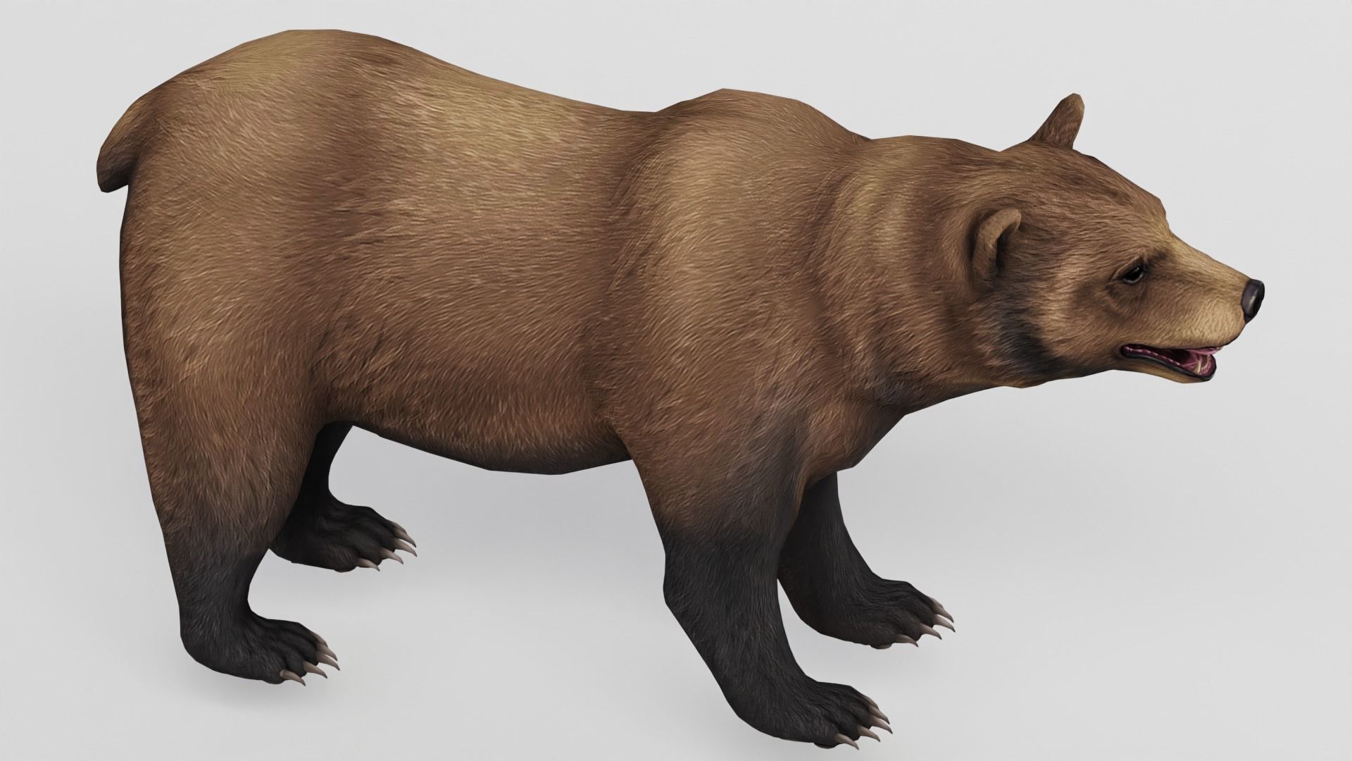 AnimalS Collection 3D model | CGTrader