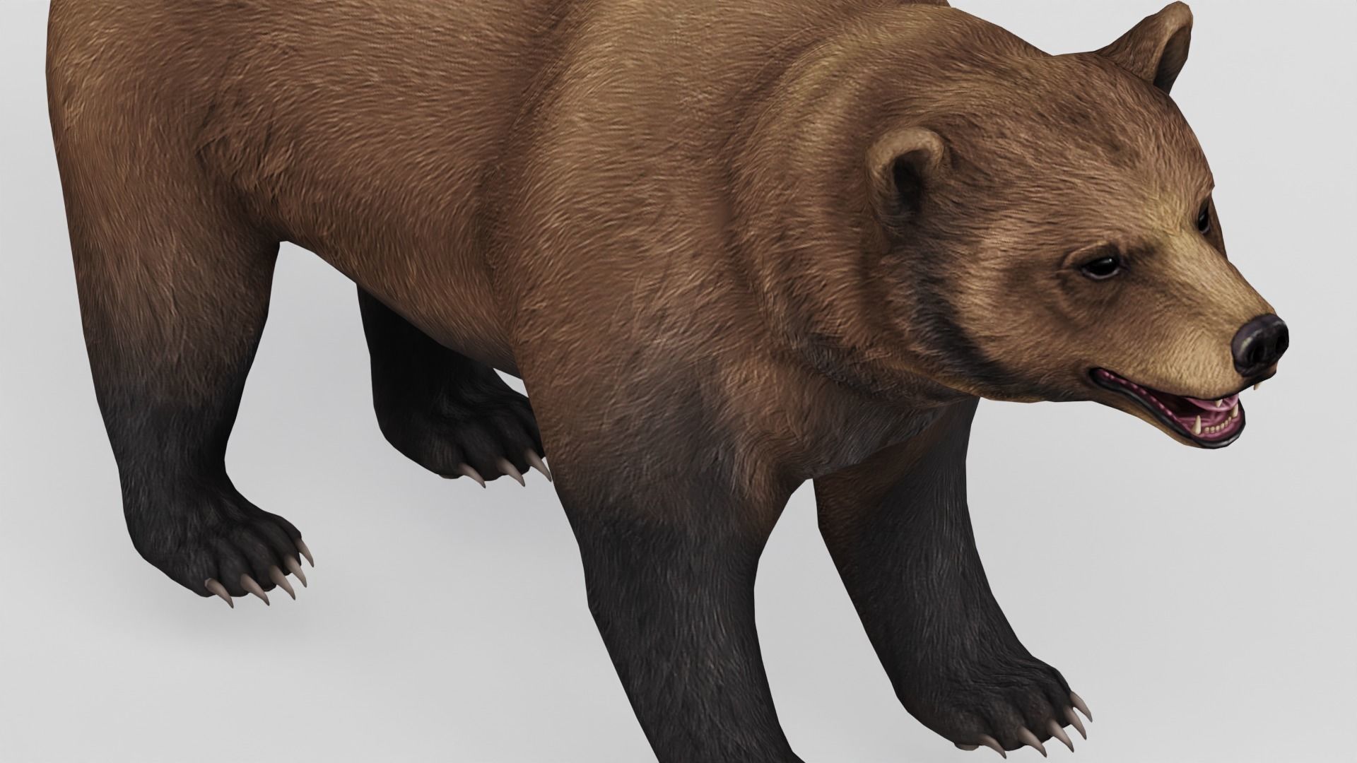 AnimalS Collection 3D model | CGTrader