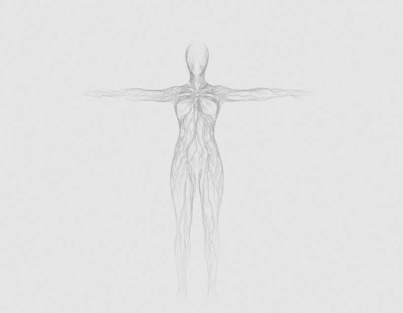 Abstract Female T Pose Mesh and Animated Mesh 3D model animated | CGTrader