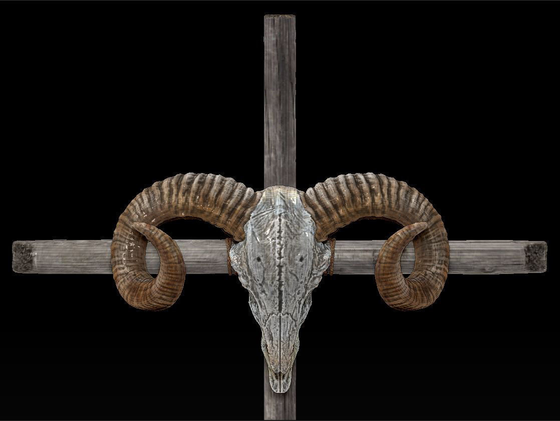 3D model Target Ram Skull VR / AR / low-poly | CGTrader