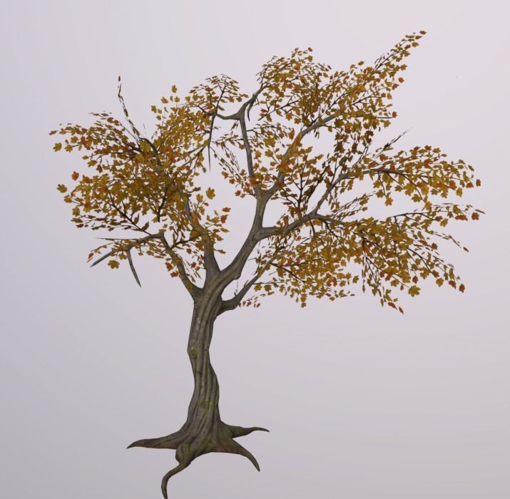 3D model Tree 3D Asset VR / AR / low-poly | CGTrader