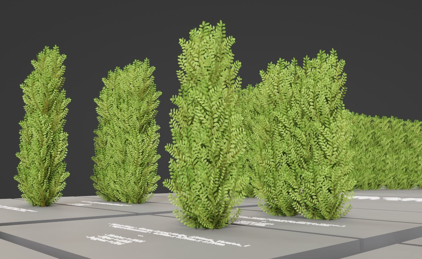 3D model Cherry Laurel Hedge Package VR / AR / low-poly | CGTrader
