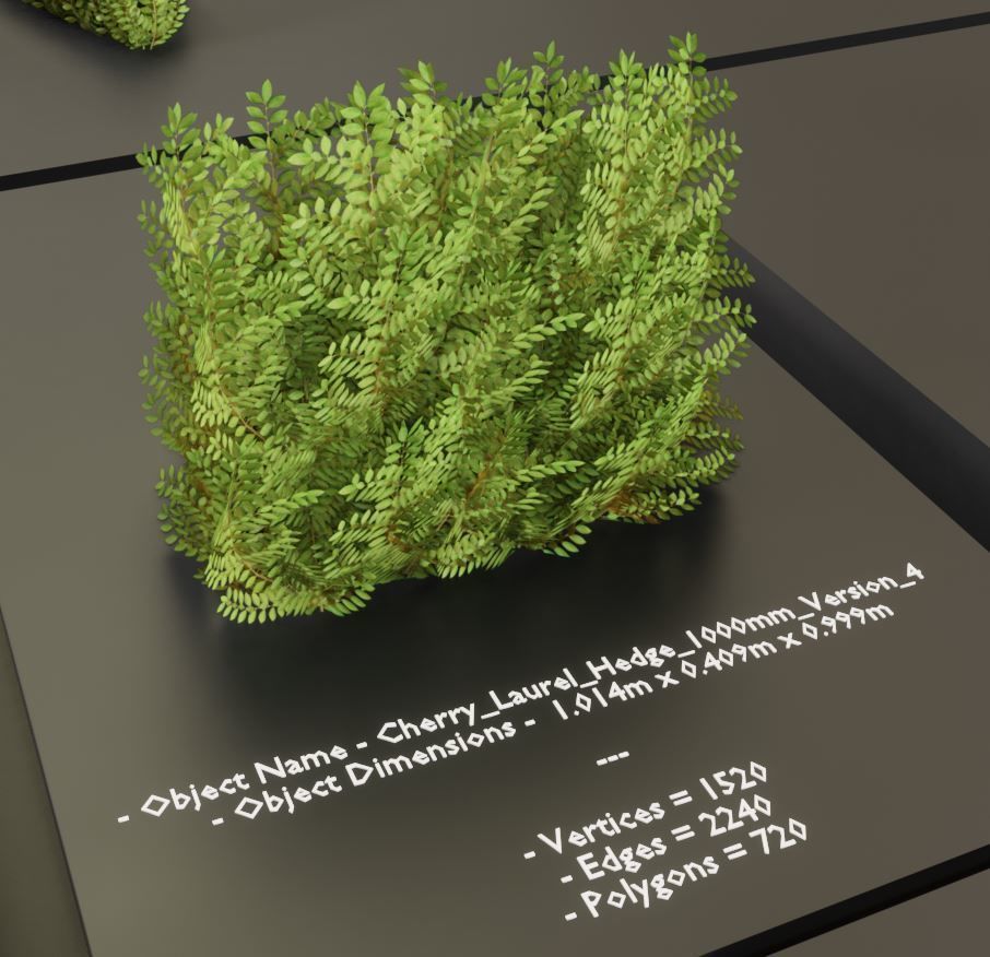 3D model Cherry Laurel Hedge Package VR / AR / low-poly | CGTrader