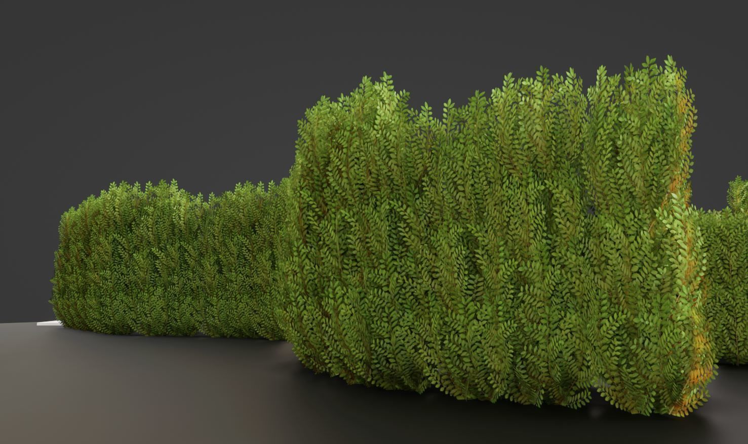 3D model Cherry Laurel Hedge Package VR / AR / low-poly | CGTrader