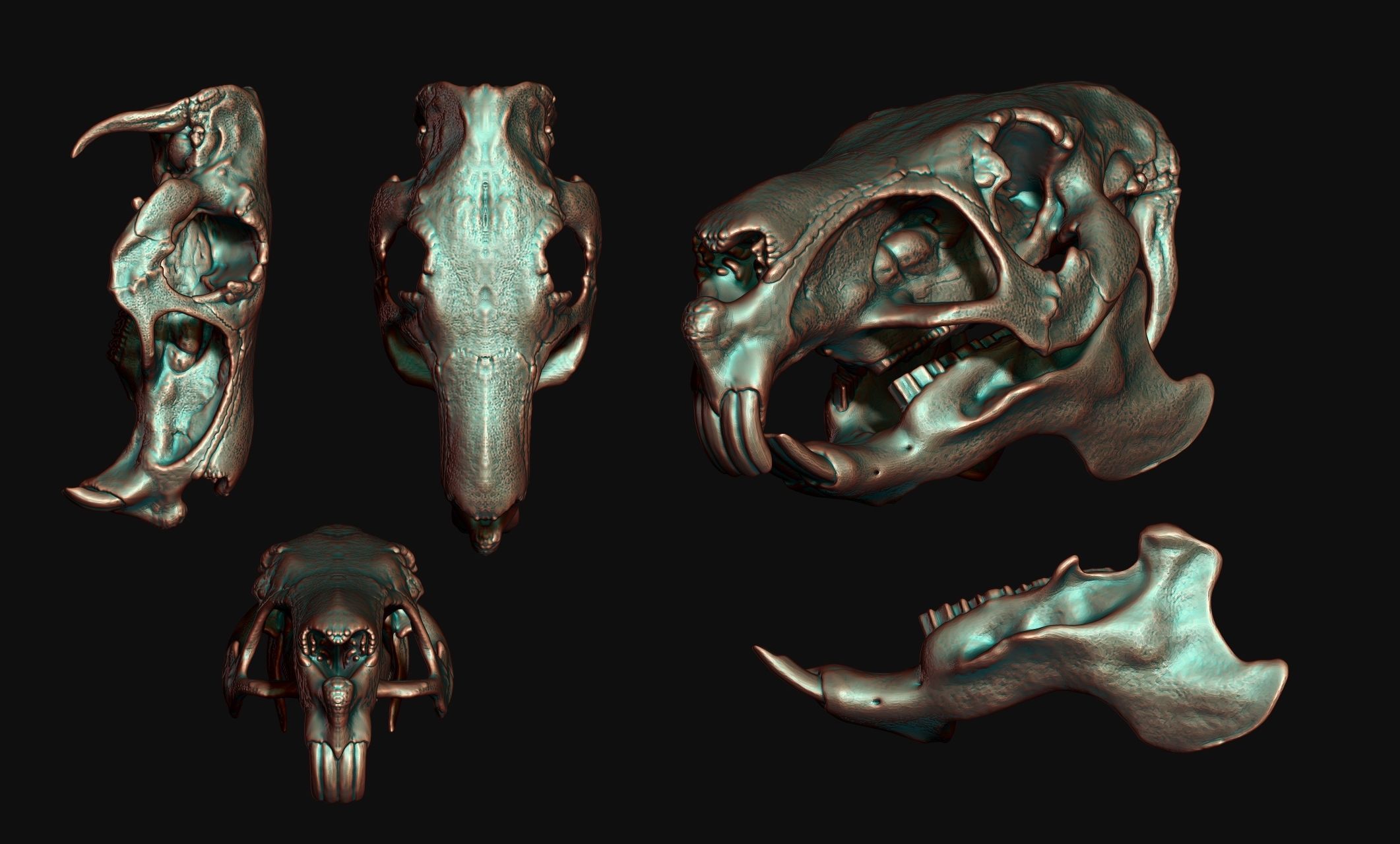 Capybara - Hydrochoerus hydrochaeris - Skull CNC and 3D model 3D ...