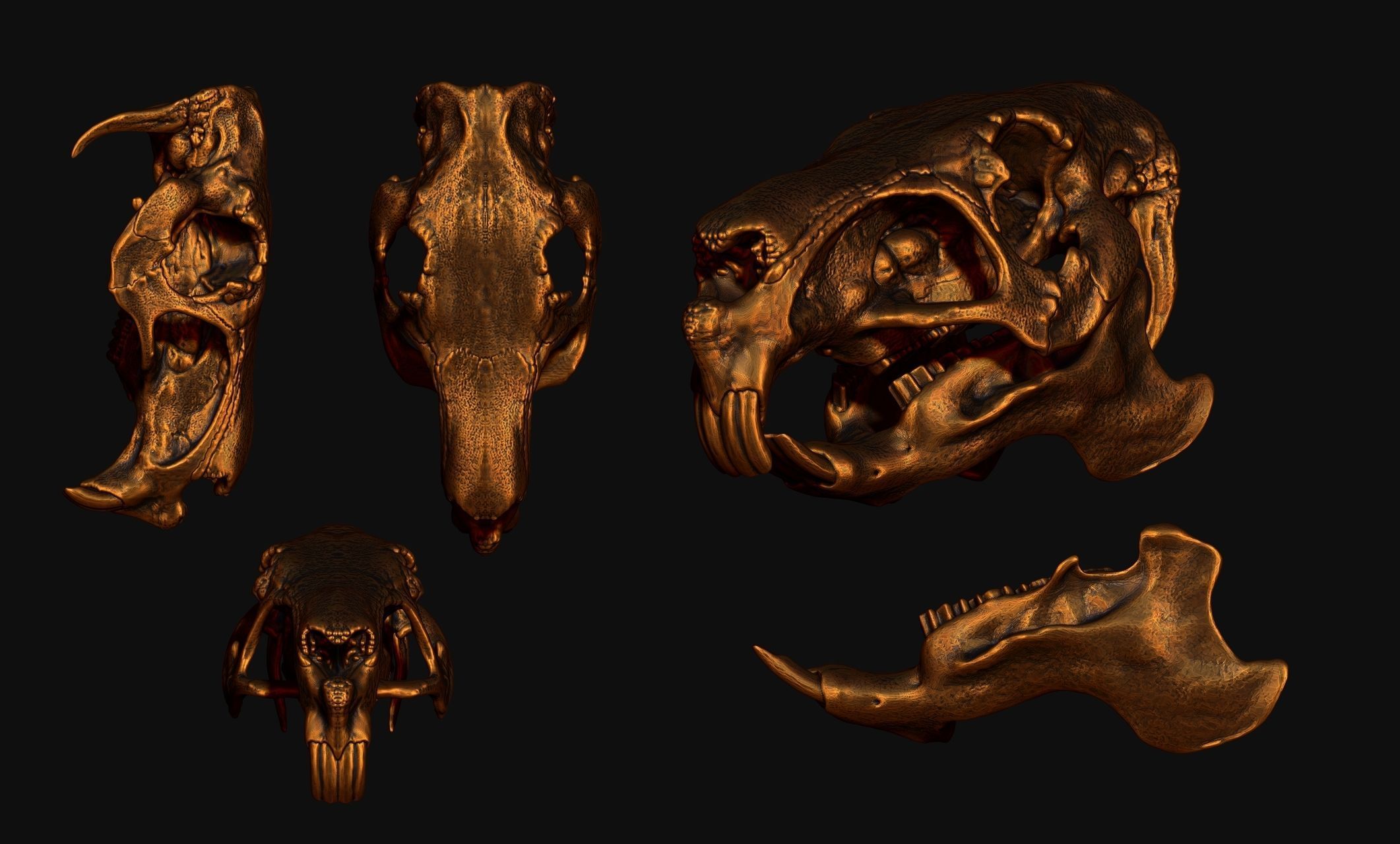 Capybara - Hydrochoerus hydrochaeris - Skull CNC and 3D model 3D ...