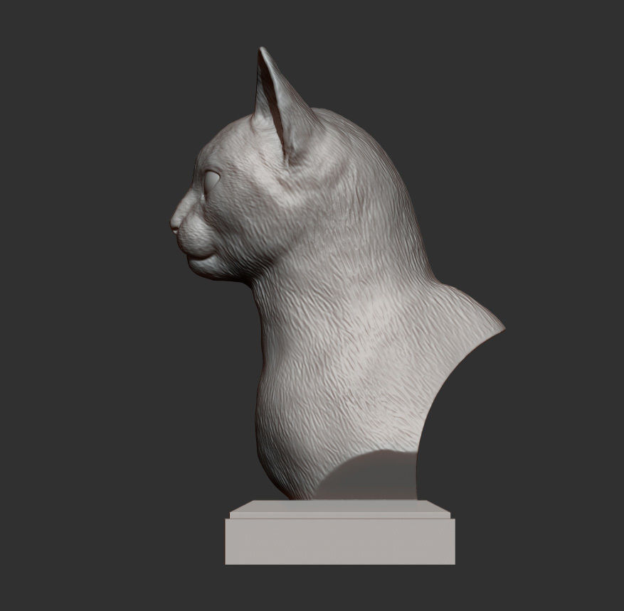 abyssinian cat bust 3D model 3D printable | CGTrader
