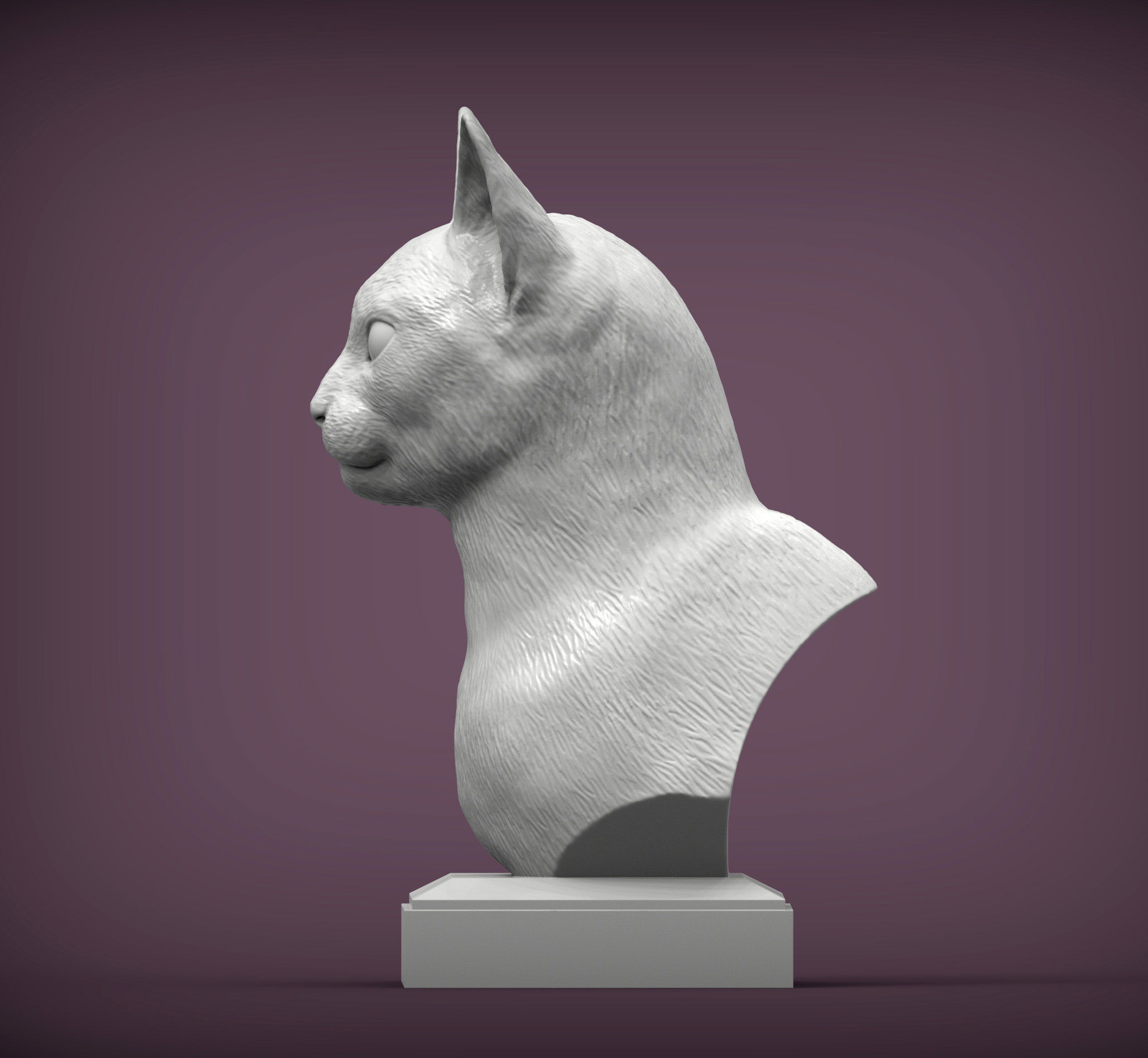 abyssinian cat bust 3D model 3D printable | CGTrader