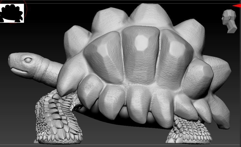 Green Sea Turtle 3DPrintable 3D print model 3D model 3D printable ...