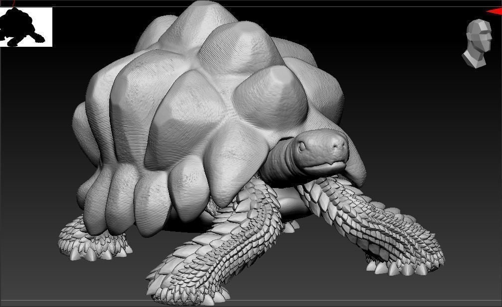 Green Sea Turtle 3DPrintable 3D print model 3D model 3D printable ...