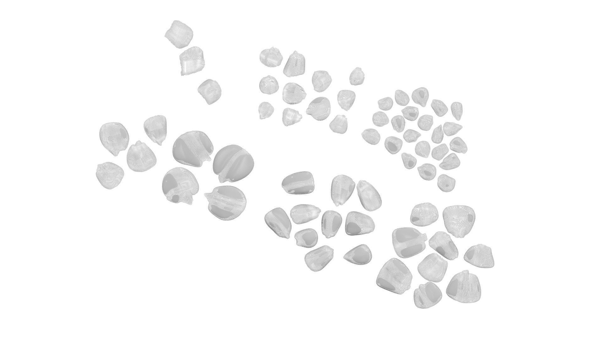 Colored Corn Kernels Set 3D model | CGTrader