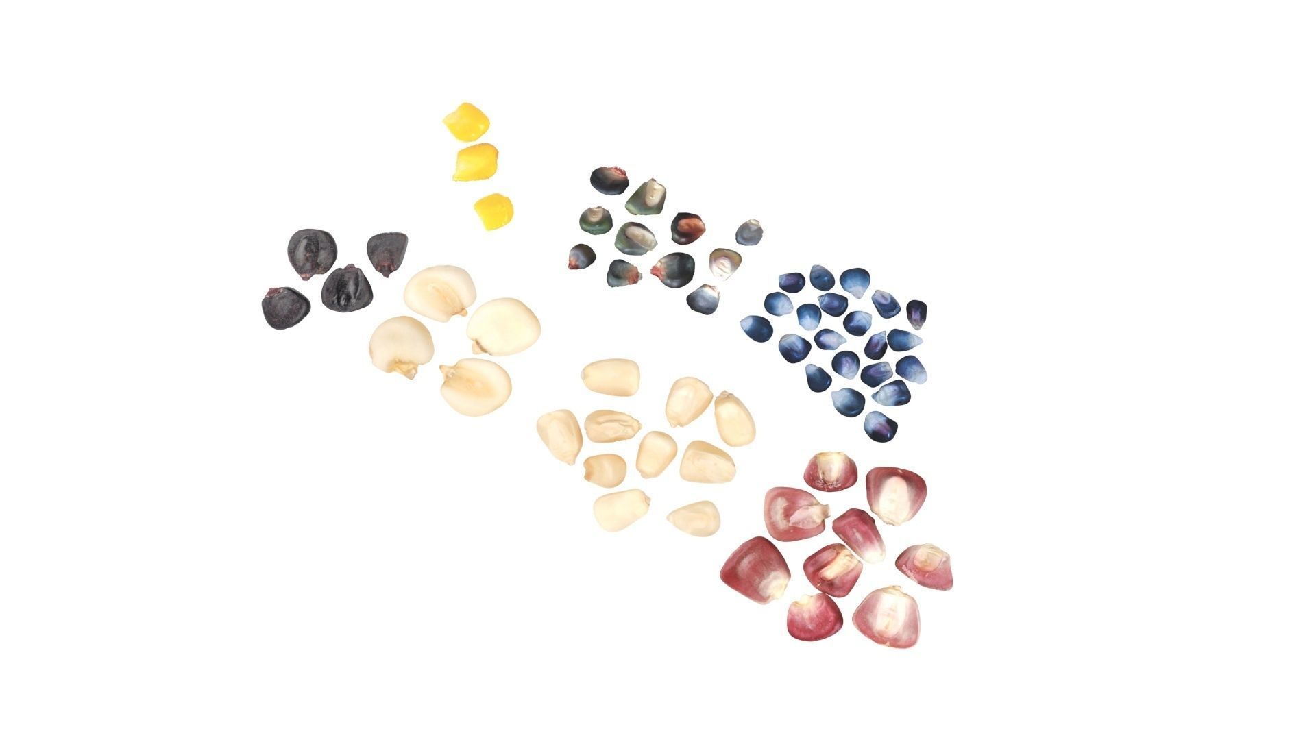 Colored Corn Kernels Set 3D model | CGTrader