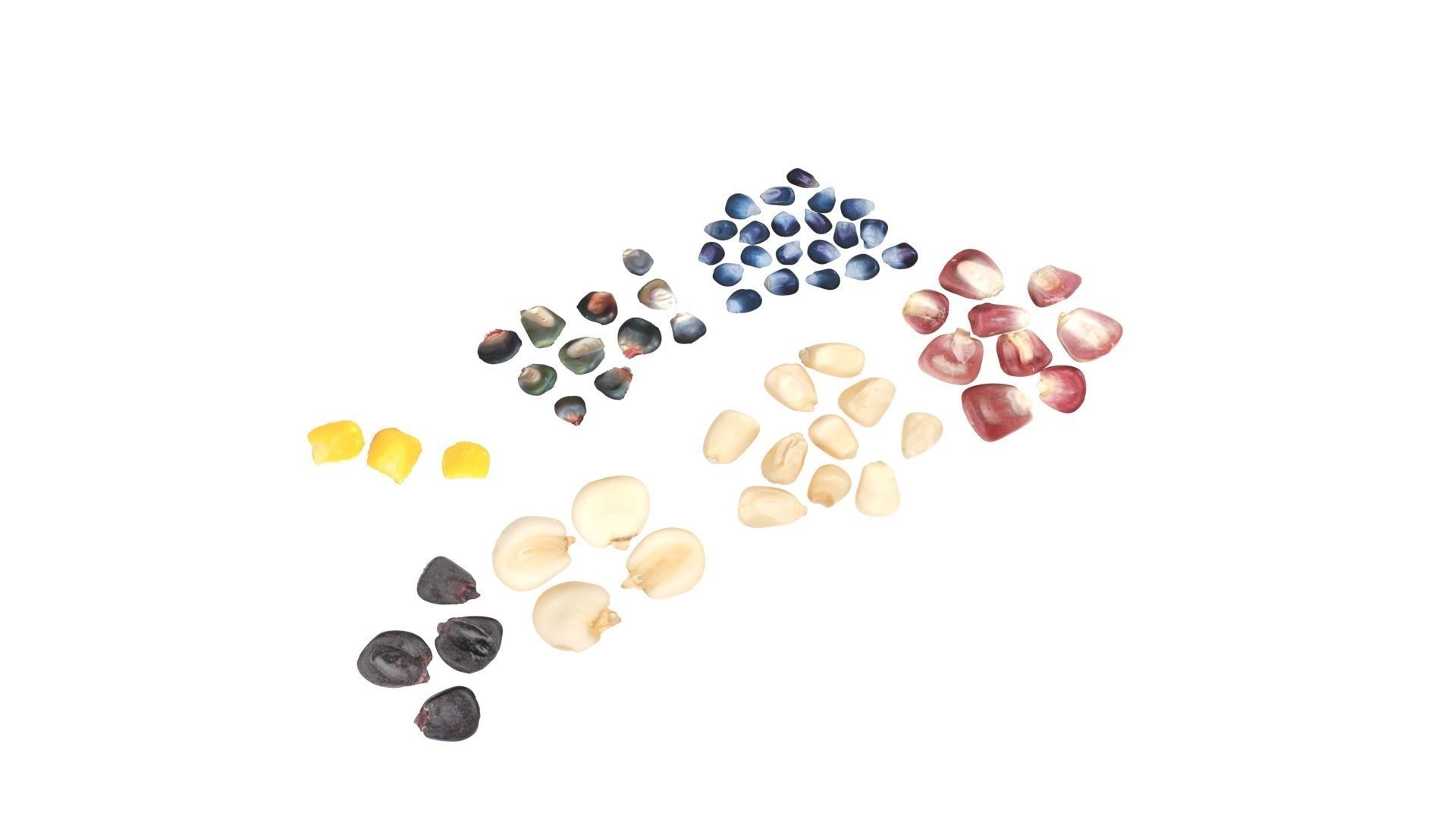 Colored Corn Kernels Set 3D model | CGTrader
