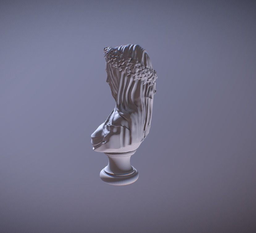 Bust Lady with Veil 3D printing mode 3D model 3D printable | CGTrader